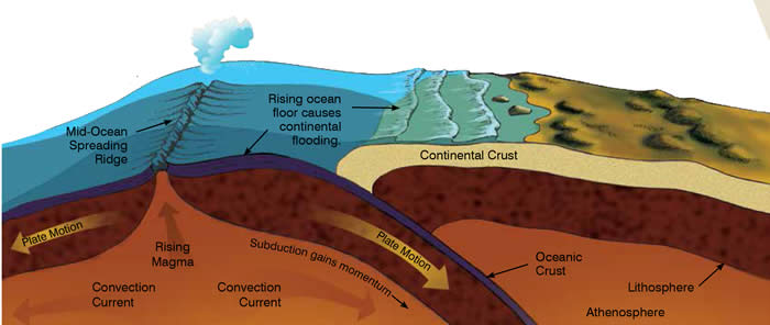 Drifting Plates or Flying Saucers?