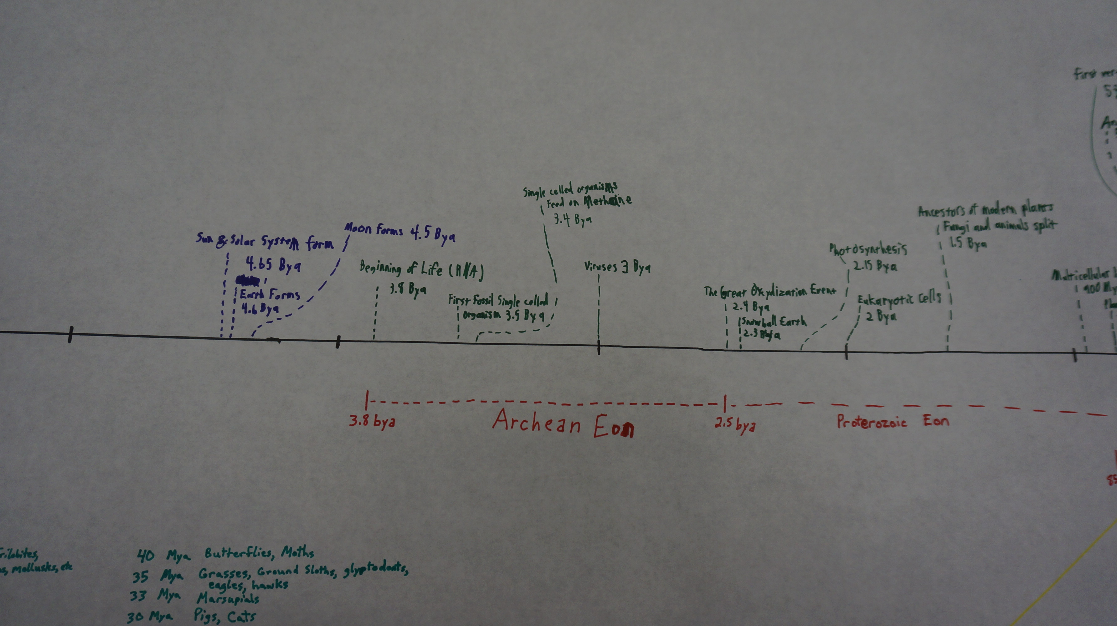 Examples of Timeline Pictures | Alpha Omega Institute