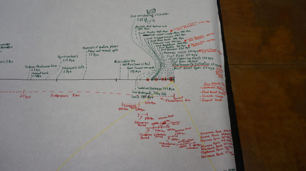 Examples of Timeline Pictures | Alpha Omega Institute