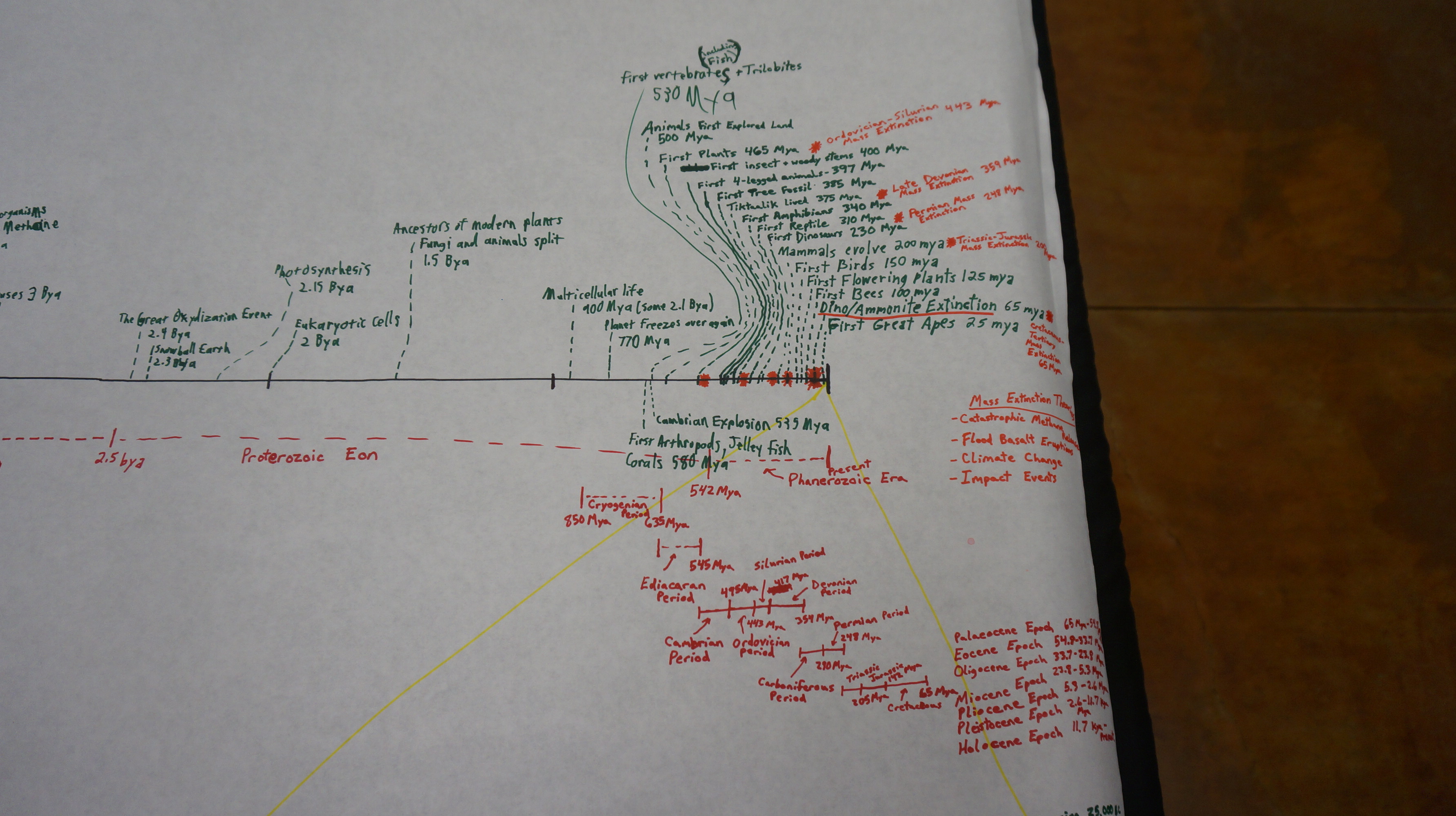 Examples of Timeline Pictures | Alpha Omega Institute