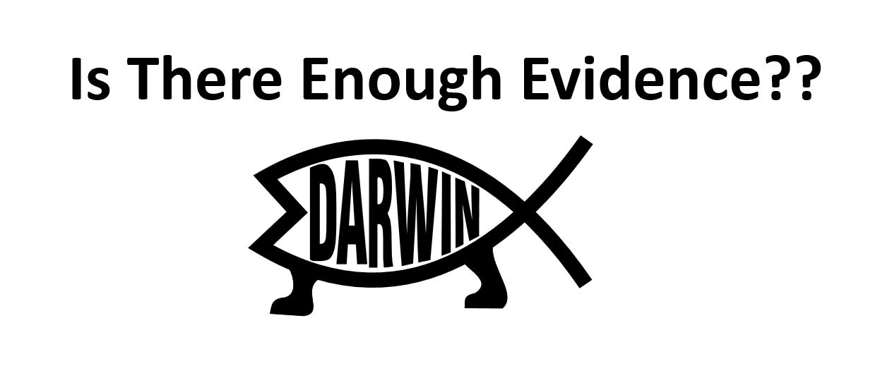 Not Enough Evidence for Evolution! | Alpha Omega Institute