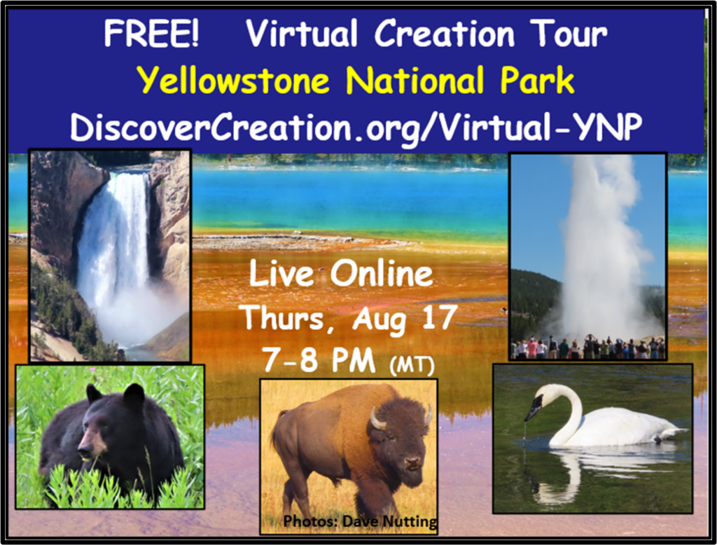 Virtual Creation Tour – Yellowstone National Park! | Alpha Omega Institute