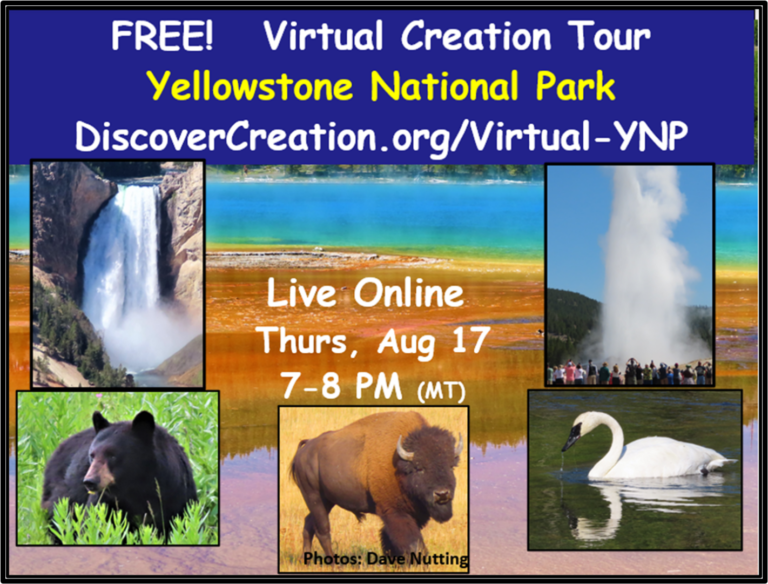 Virtual Creation Tour – Yellowstone National Park! | Alpha Omega Institute