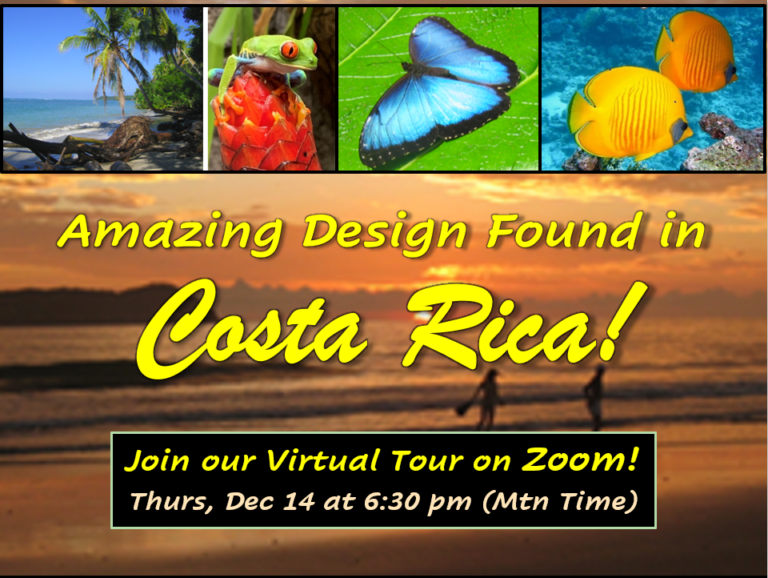 Costa Rica Virtual Creation Tour! | Alpha Omega Institute